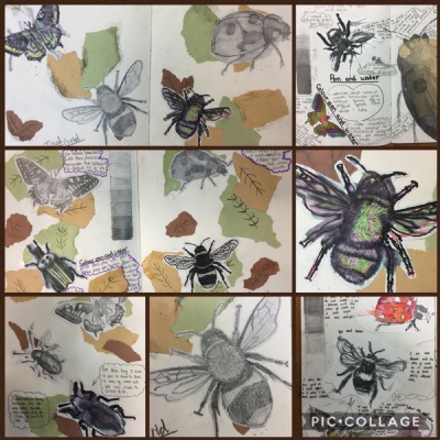 Henley Bank High School - Year 7 Art