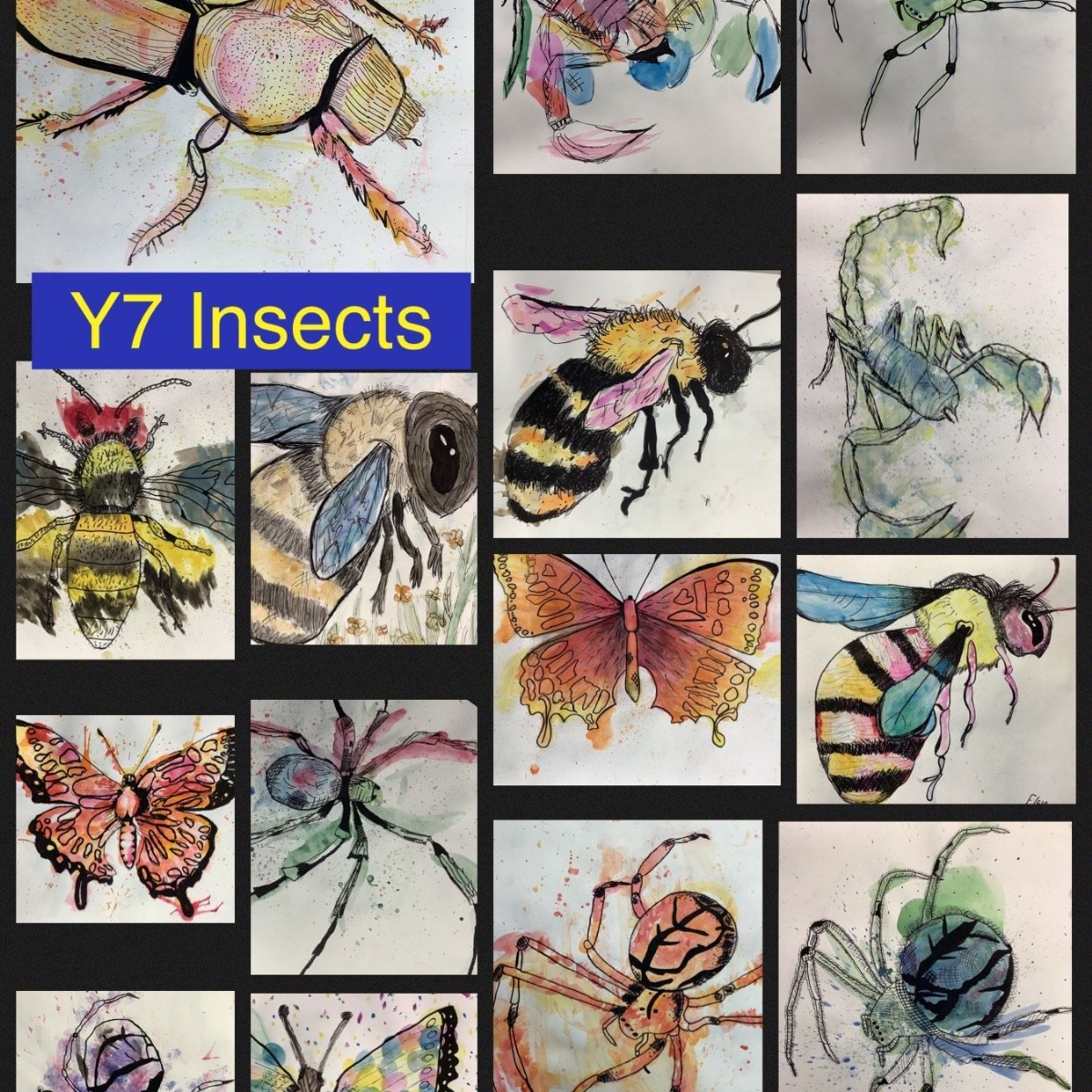 Henley Bank High School - Year 7 Insects Art project